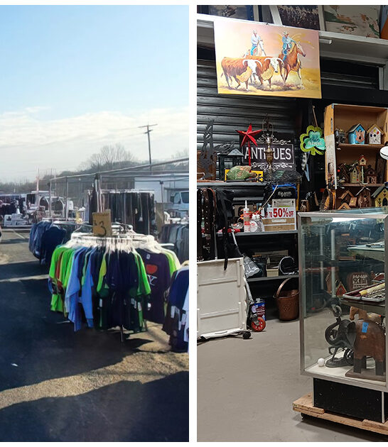 new jersey rare treasures ftr