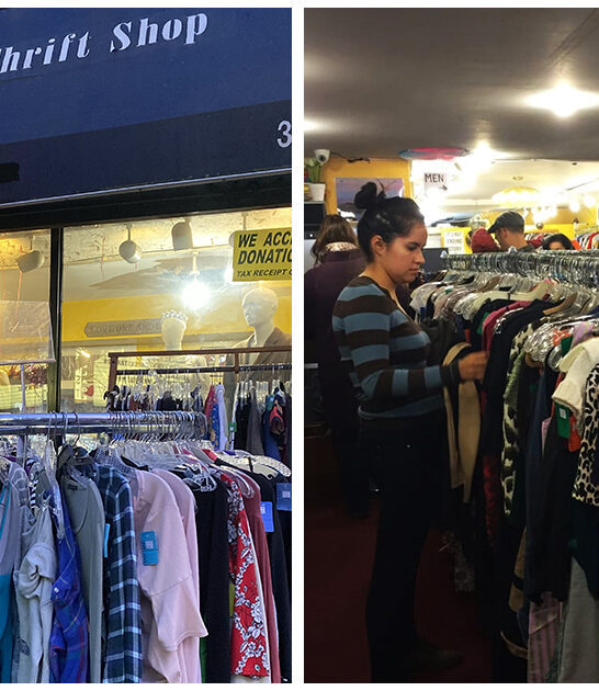 new york bargain hunting FTR