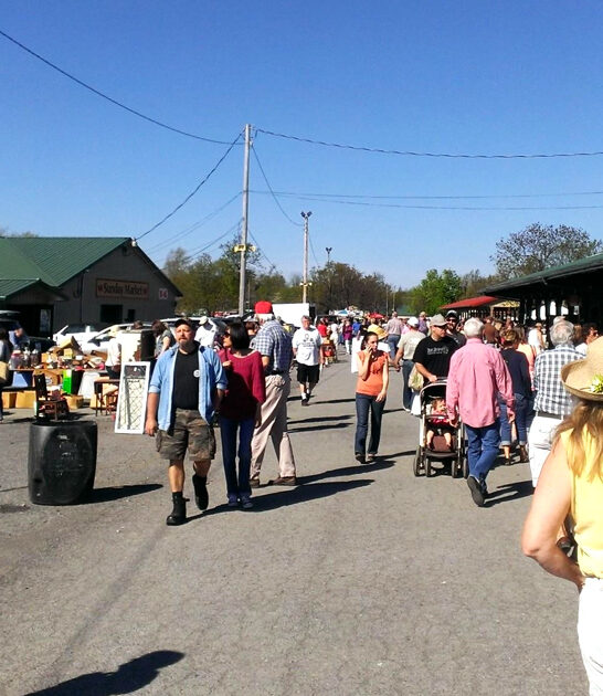 new york markets ftr