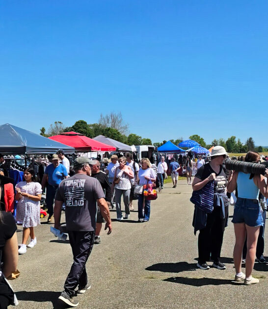 new york rare treasures ftr