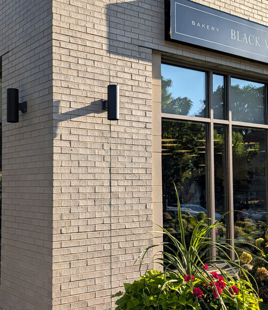 no frills bakeries minnesota FTR