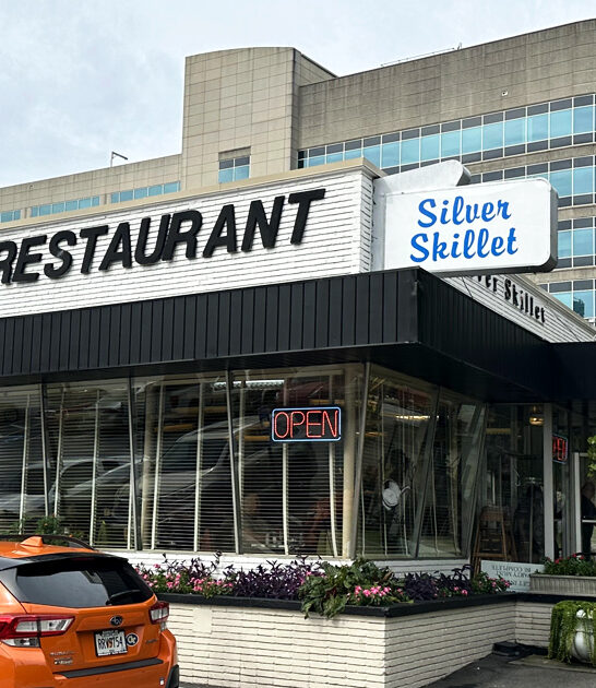 nostalgic diners georgia ftr