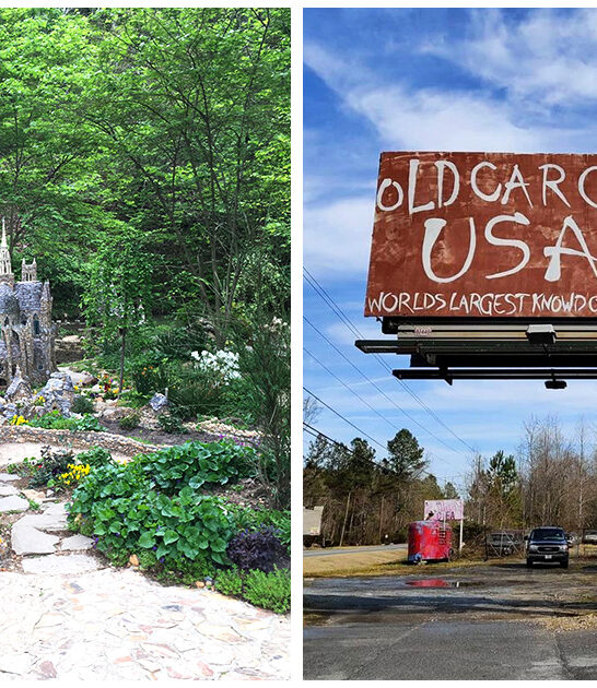 oddball road trip georgia ftr