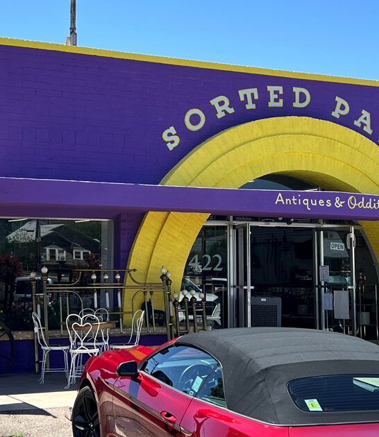oddity shops arizona trip ftr