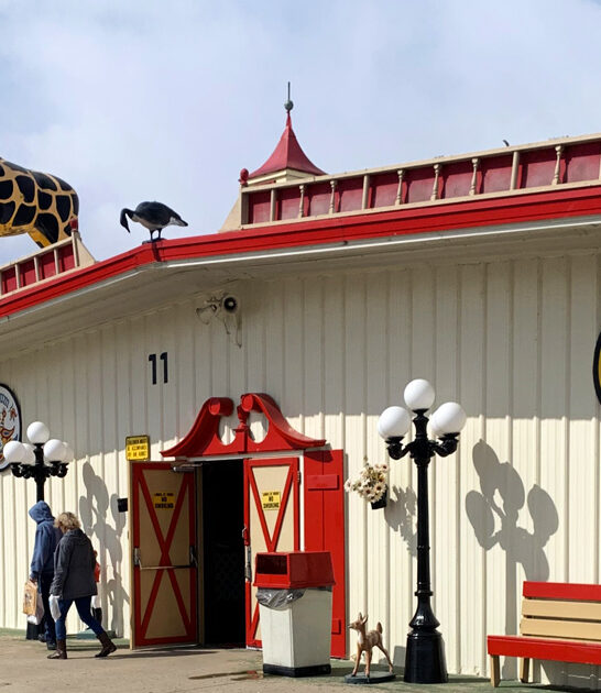 ohio bargain hunting market ftr