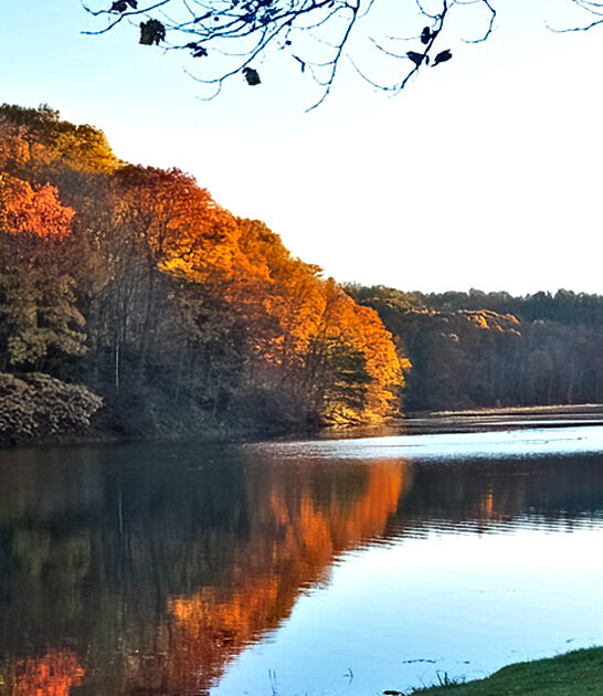 ohio forgotten state park ftr