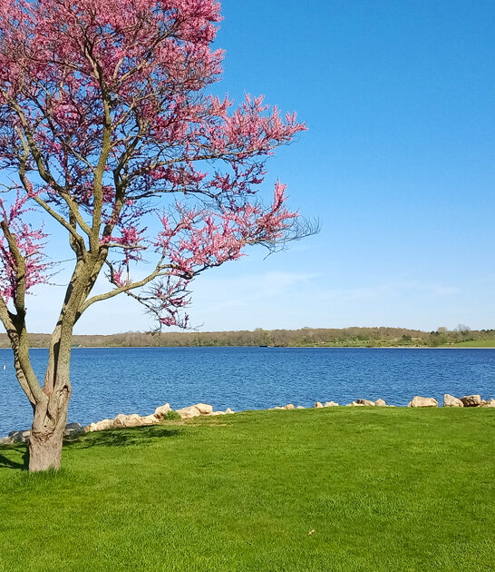 ohio gorgeous lake parks ftr