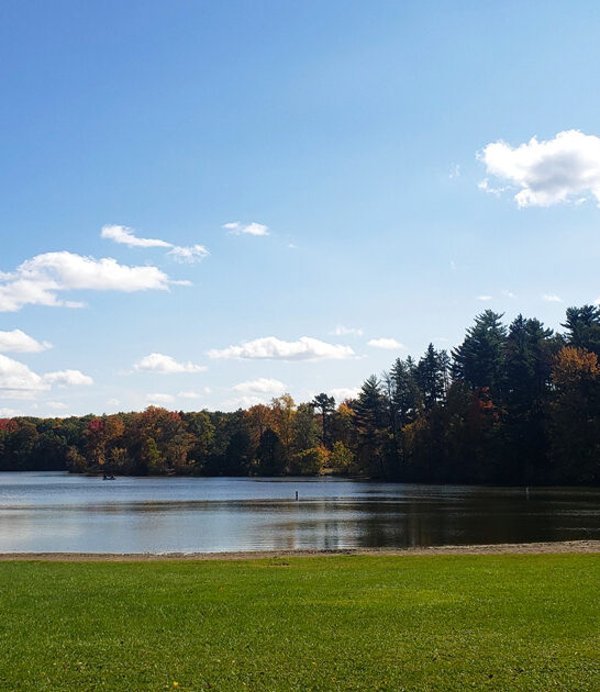 ohio picturesque state park ftr