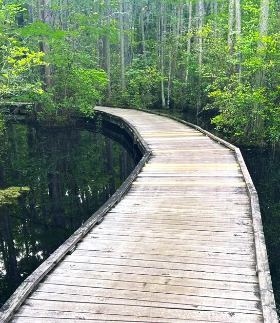 park tiny south carolina ftr