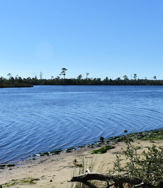 picturesque florida state park FTR