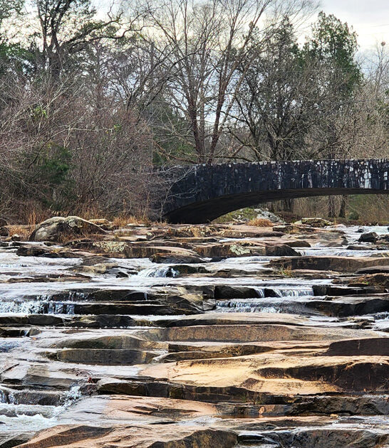 picturesque georgia state park FTR