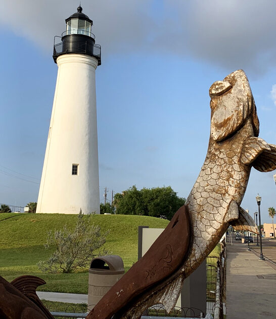 picturesque lighthouses texas postcard ftr
