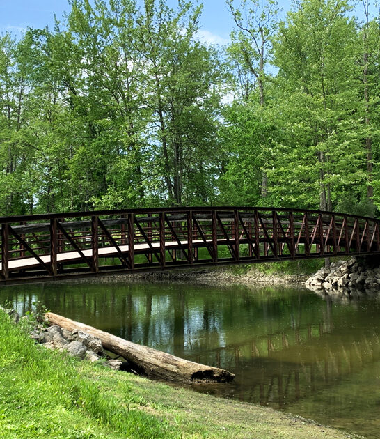 picturesque park michigan trip ftr