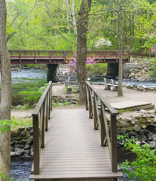 picturesque park new jersey ftr