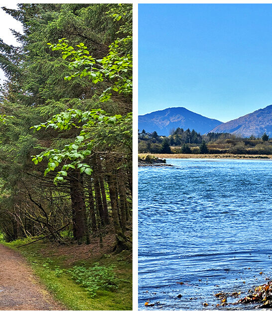 picturesque state park alaska ftr