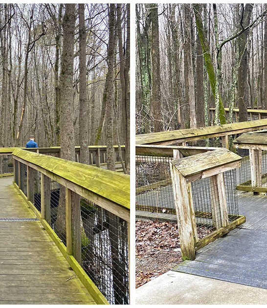 picturesque state park arkansas FTR