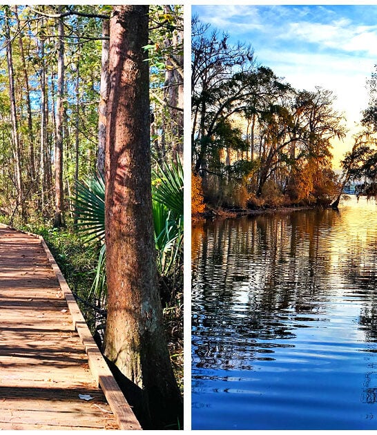 picturesque state park louisiana ftr