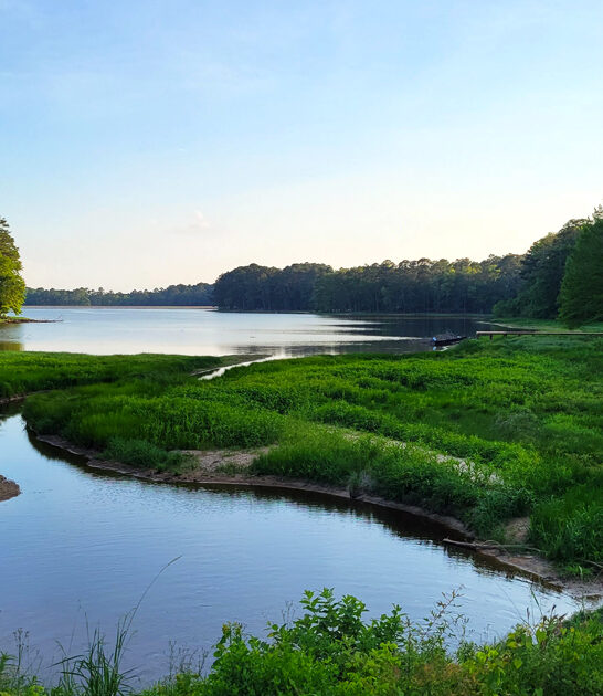 picturesque state park mississippi ftr
