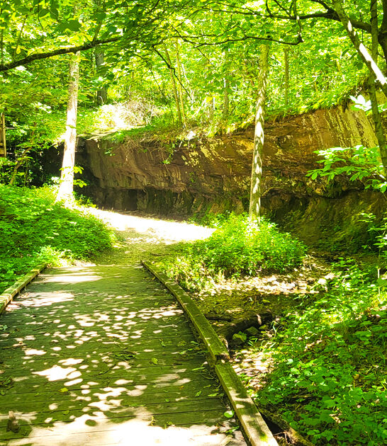 picturesque state park missouri ftr