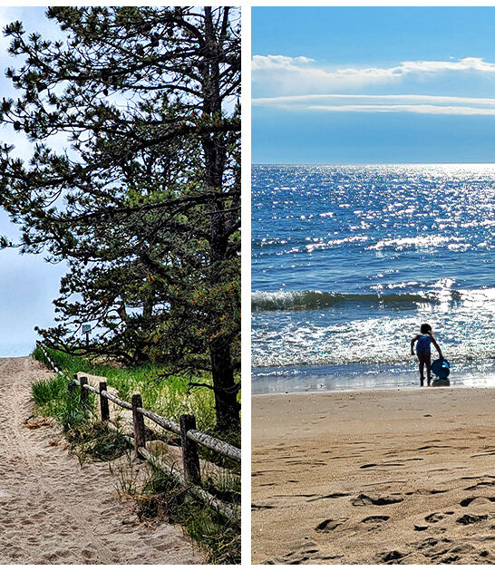 picturesque state park saco me ftr