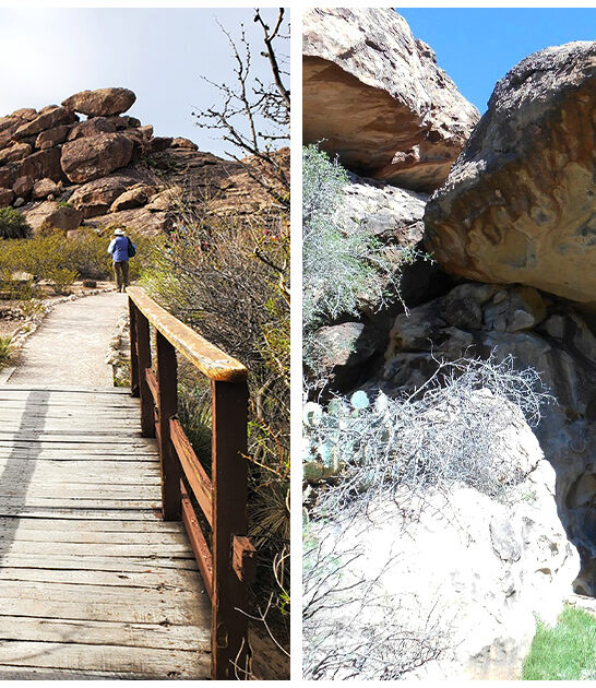 picturesque state park texas ftr