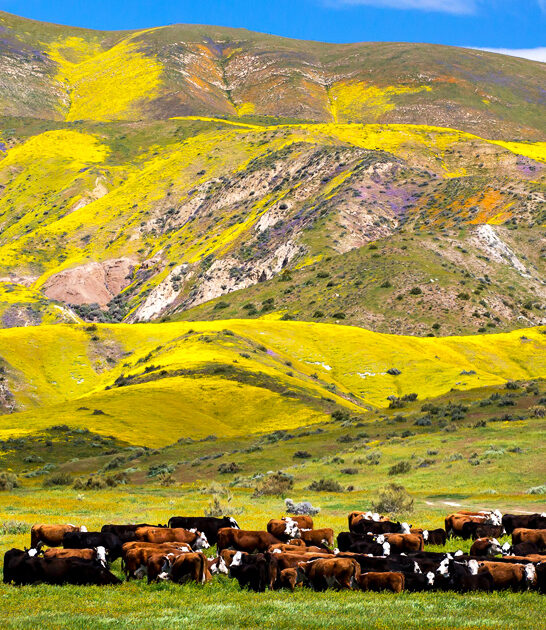postcard worthy monument california FTR