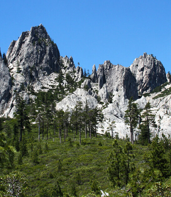 postcard worthy park california FTR