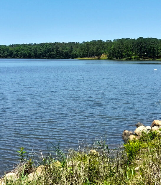 postcard worthy state park flovilla ga FTR