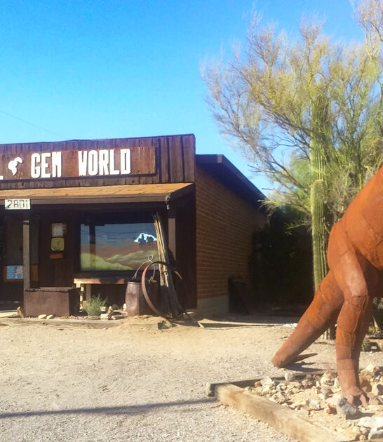 quirky curiosity shop arizona ftr