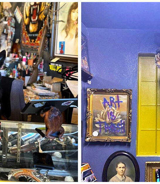 quirky oddities shop tampa fl ftr