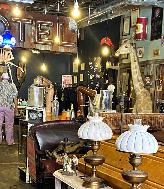 quirky oddity shops florida ftr