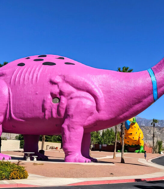 quirky roadside attraction california ftr