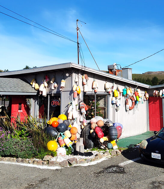quirky seafood shack california ftr
