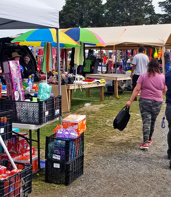 rare treasures market virginia ftr