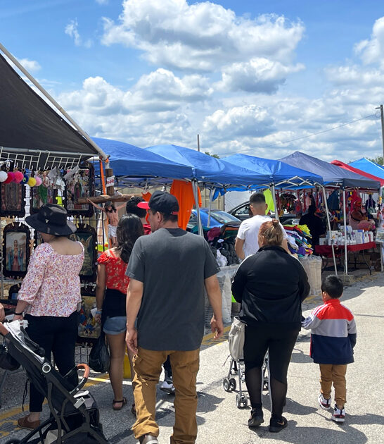 rare treasures markets wisconsin ftr