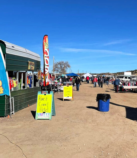 rare treasures new mexico FTR