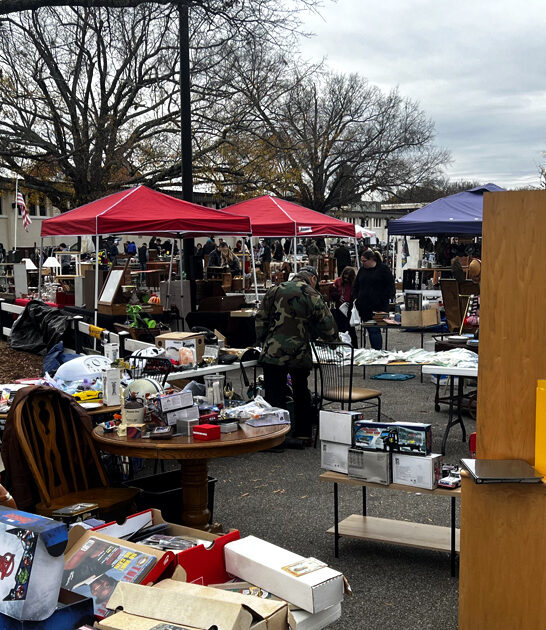 rare treasures north carolina FTR