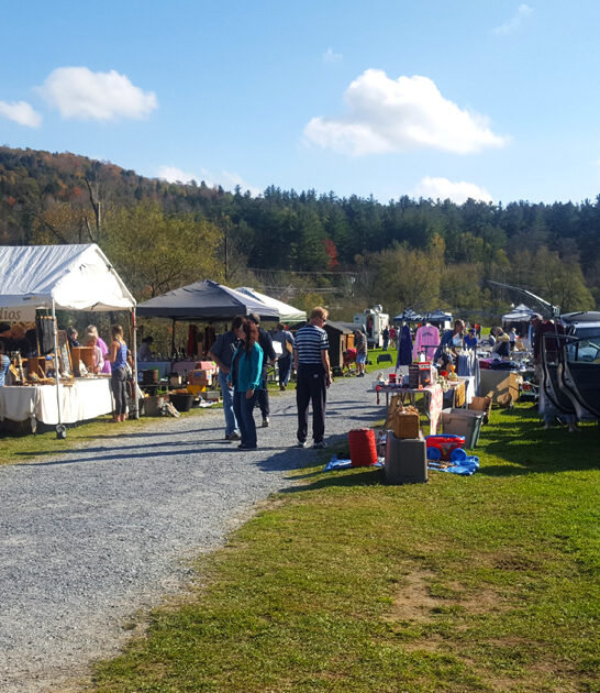 rare treasures vermont FTR