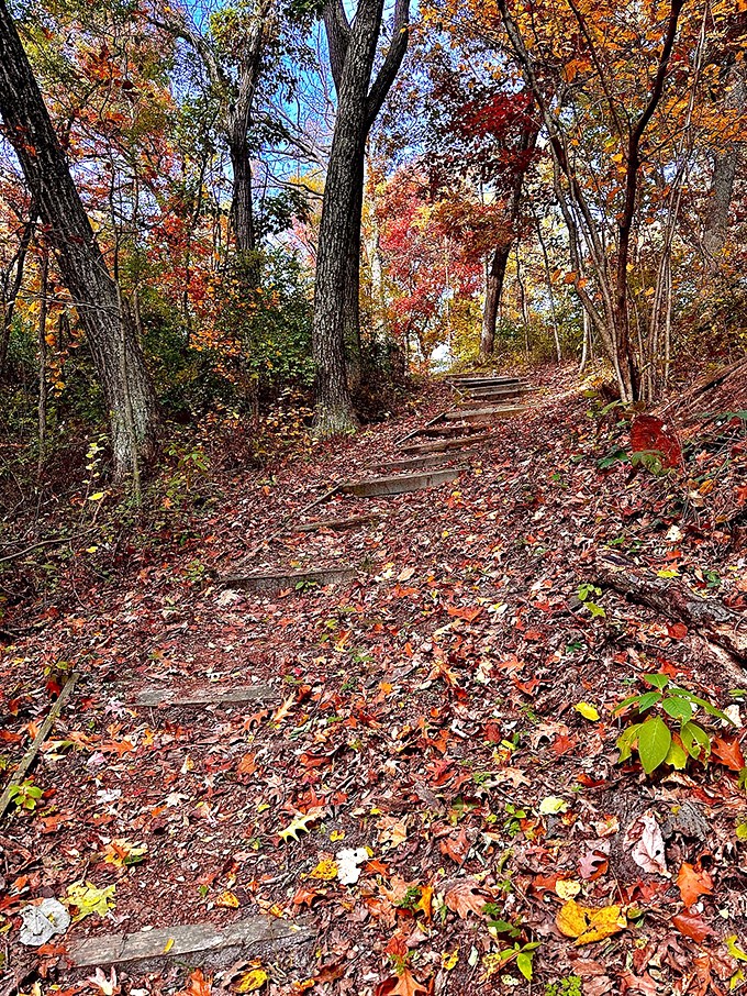 Autumn's paintbrush transforms this trail into a Technicolor dream. Who needs yellow brick roads when you've got this?