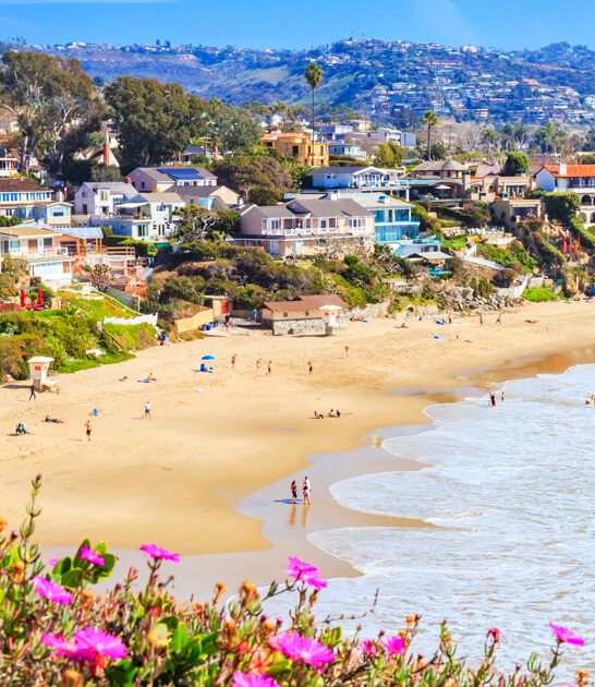 salty sunny trip california FTR