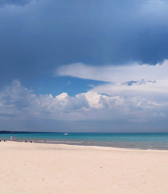 scenic illinois beach park ftr