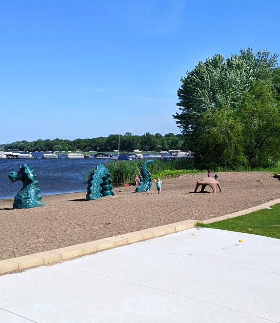 scenic lake beaches minnesota FTR