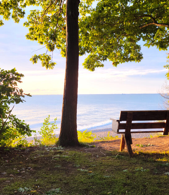 scenic state park michigan ftr