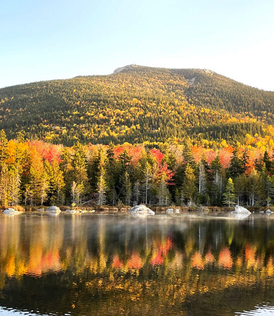 scenic views maine park ftr