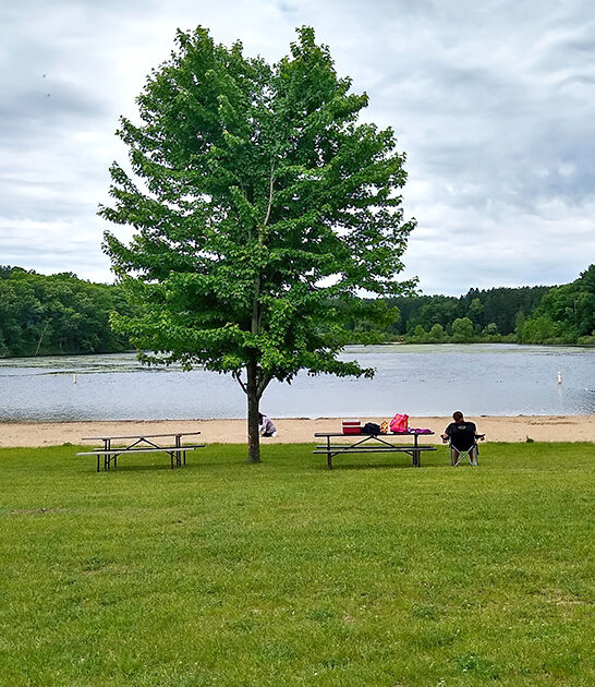 scenic wisconsin state park ftr