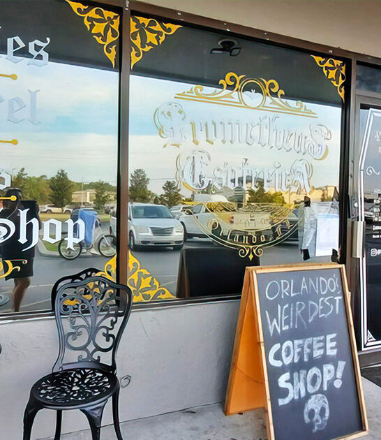 secret oddity shops florida ftr