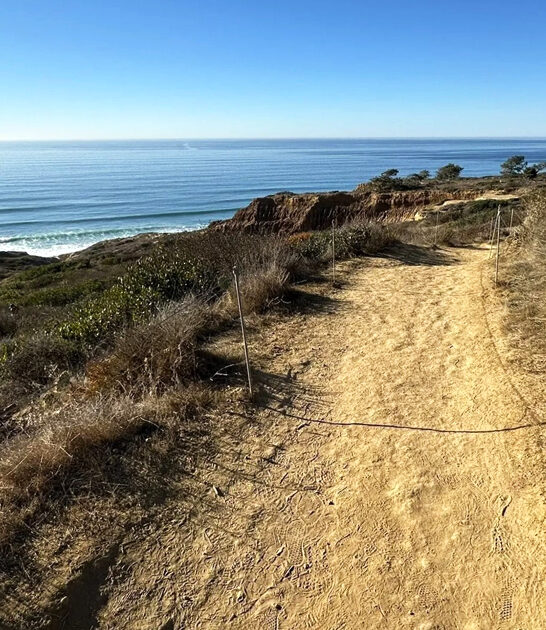 short easy hikes california FTR