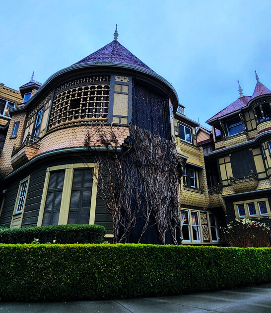 spine chilling trip california FTR