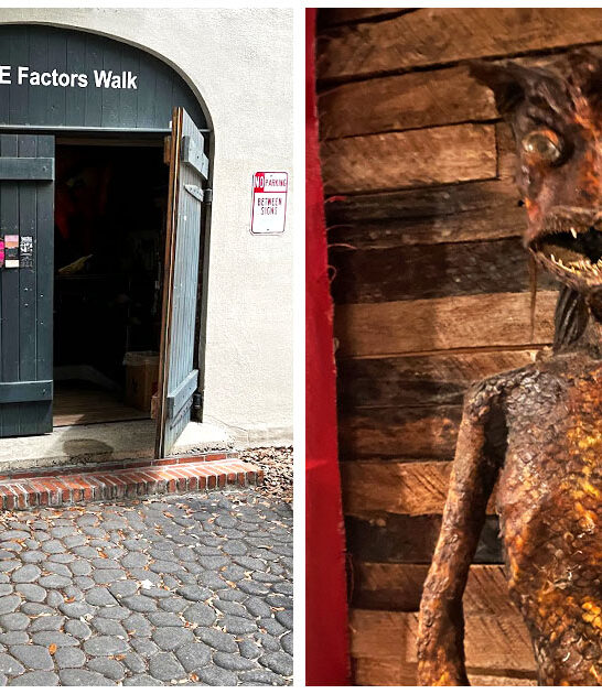 spooky macabre museum savannah ga ftr