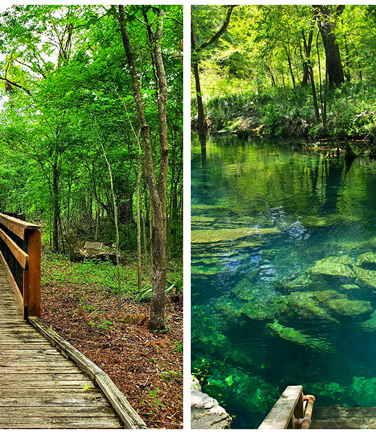 state park florida tiny ftr